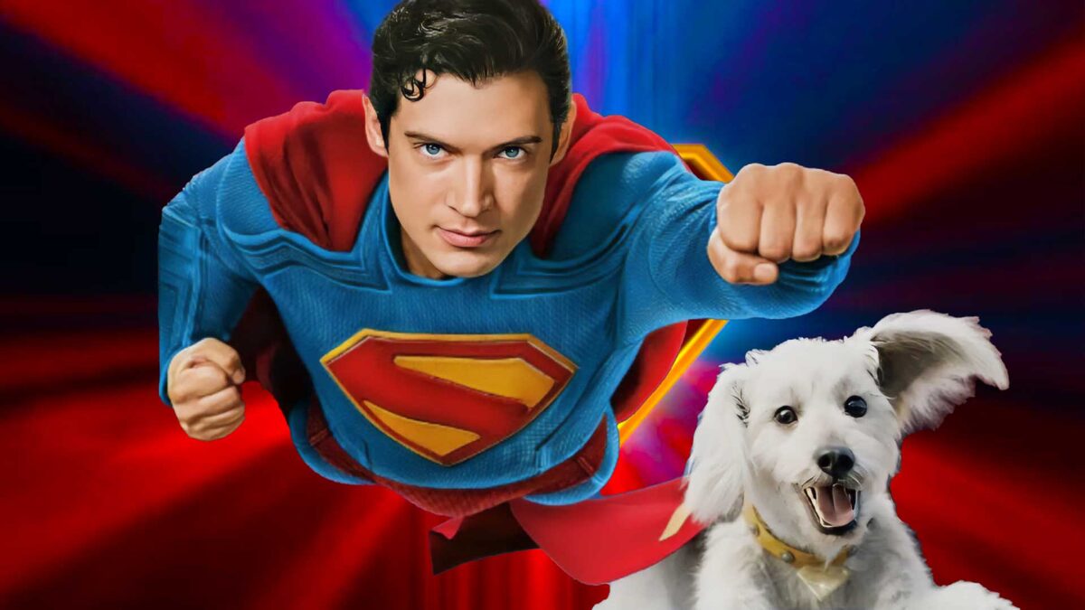 Novo filme do "Superman" faz crescer busca por adoção de animais ...